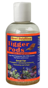 TIGGER-PODS | Pet Box Guatemala